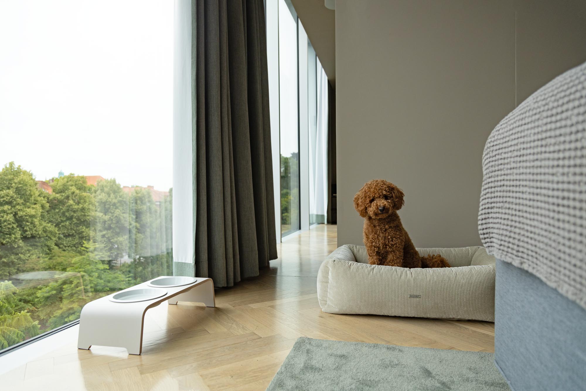 Elegantes Stiftung Warentest Hundebetten Bild